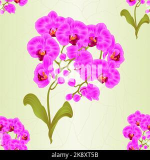 Seamless texture branches orchid Phalaenopsis with dots purple and ...
