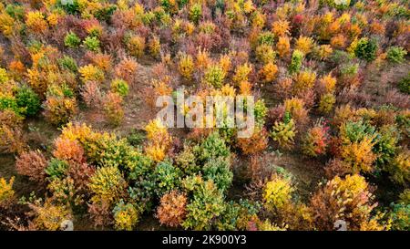 YUNCHENG, CHINA - OCTOBER 25, 2022 - An aerial photo shows colorful ...