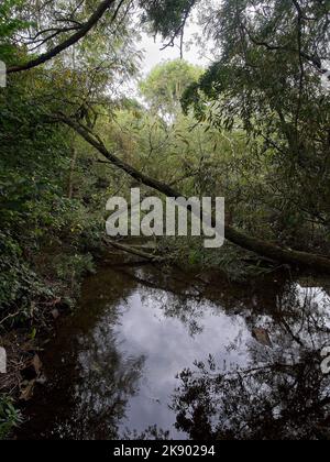 A photo of Aylestone Meadows Local Nature Reserve. Stream of water with ...