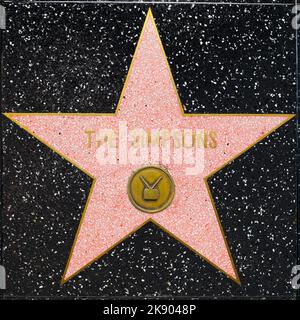 The Simpsons Hollywood Star Stock Photo - Alamy