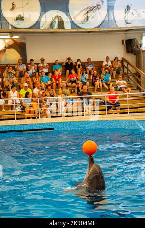 Antalya, Turkey - September 28, 2022: Show with dolphins and sea leon ...