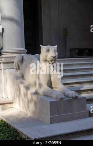 Lion Statues at the entrance to the New York Public Library, Manhattan ...