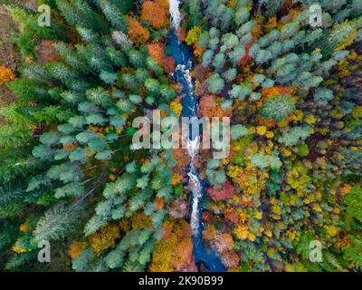 Dunkeld, Scotland, UK. 25th October 2022. Views of spectacular autumn ...