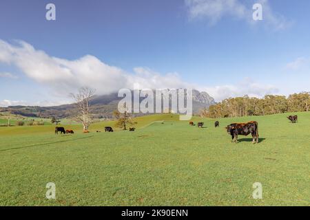 The stunning Mt Roland in central Tasmania ona cool sunny spring day ...