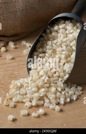 Close-up of dried white Corn / Maize kernels known in Mexico as Mote ...