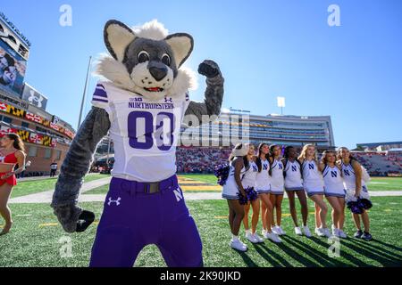 College Park, MD, USA. 22nd Oct, 2022. Maryland Terrapins running back ...