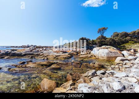 Landscape around Beerbarrel Beach and Burns Bay Rd boat ramp in Akaroa ...