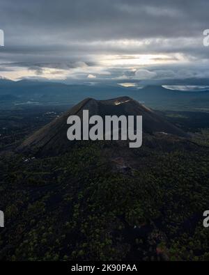 A vertical shot of a jungle with dense trees and vegetation surrounding ...