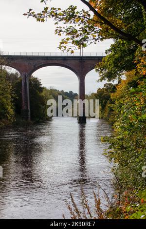 Croxdale Viaduct in autumn Stock Photo - Alamy