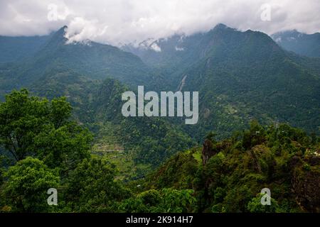 A landscape with forested, misty mountains and gloomy sky background ...