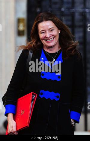 Gillian Keegan who has been appointed as Education Secretary in Downing ...