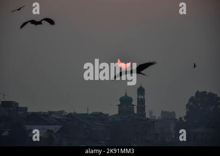 Birds fly as a partial solar eclipse is seen in Srinagar. The partial ...