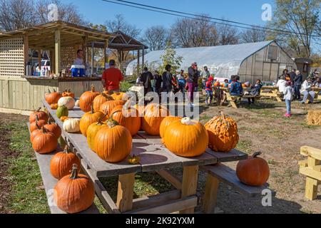 Detroit, Michigan - A fall festival in Detroit's Morningside ...