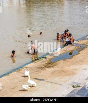 Ritual bathing in the holy lake in Pushkar. India Stock Photo - Alamy