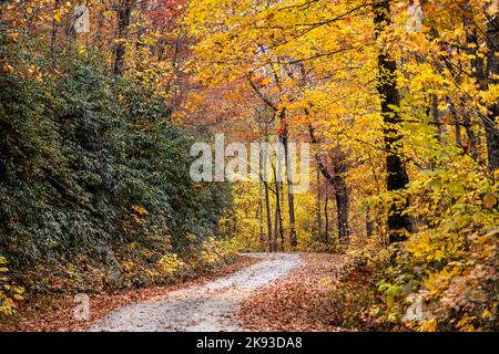 Country road through vibrant fall foliage in Pisgah National Forest ...