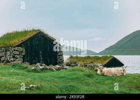 Houses on grass on natural background Stock Photo - Alamy