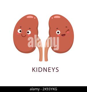 happy kidneys with smile face cartoon character hug each other ...