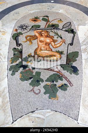 astrological sign of Virgo Stock Photo - Alamy