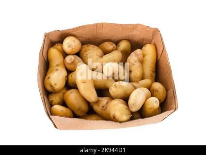 Ratte potato in front of white background Stock Photo - Alamy
