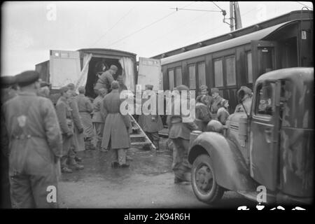 During the evacuation of Finnish refugees, autumn 1944 Stock Photo - Alamy