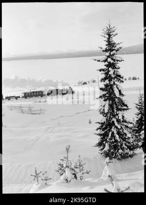 The state railways, SJ E2 steam locomotive with SJ C3G carriage shoots ...