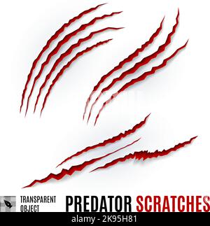 illustration of Claws scratches with red blood on isolated background ...