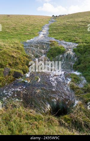 Surface runoff (also known as overland flow) from a hillside after soil ...