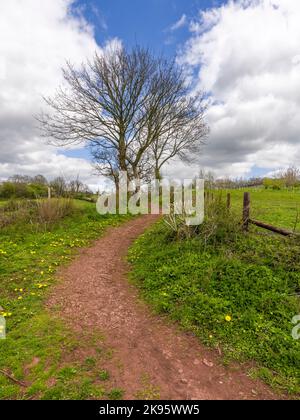 Wrington, North Somerset, GB, United Kingdom, England, N 51 21' 42'', S ...