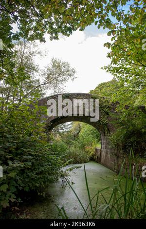 Ruxton's Bridge, the Ramparts, Navan, Ireland Stock Photo - Alamy