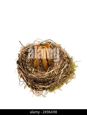 Birds nest with nesting clothes pegs Stock Photo - Alamy