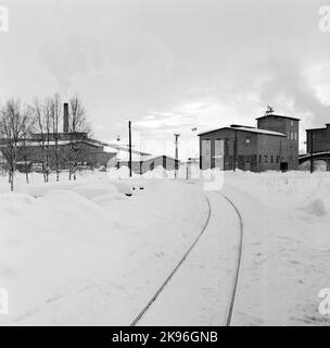 AB State Forest Industries, Assi, Piteå Stock Photo - Alamy