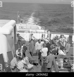 M/S Trelleborg, travelers in recliners on sun deck Stock Photo - Alamy