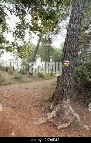 Different colors to indicate types of path, routes to be guided through ...