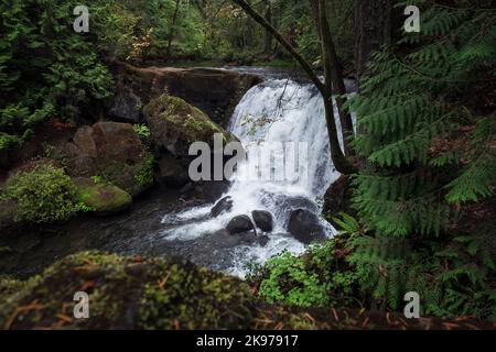 Whatcom Falls, Bellingham, Washington, USA. Long exposure of a ...