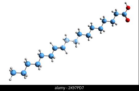 Vaccenic acid molecule. Trans fatty acid, present in animal fat and ...