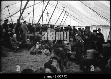 Evacuation of Finnish refugees, autumn 1944 Stock Photo - Alamy