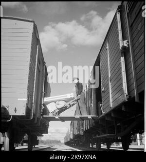 Loading between freight wagons Stock Photo - Alamy