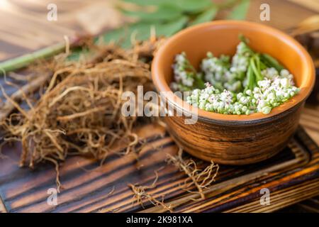 Valeriana roots, leaves and flowers. Collection and harvesting of plant ...
