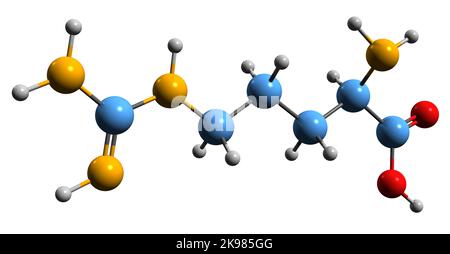 3D image of Adenosine monophosphate skeletal formula - molecular ...