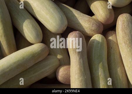 infrared image of the fresh green cucumber fruits Stock Photo - Alamy
