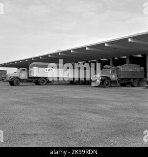 Piggy Back Cars, Slab Västberga. Scania Vabis. T.R.S Stock Photo - Alamy