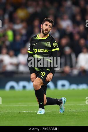 Paulinho, Tottenham Hotspur Stock Photo - Alamy