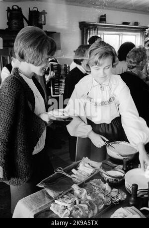 SNLC, Sunlit Nights Land Cruises. Dollar street. Game and Dalkullor ...