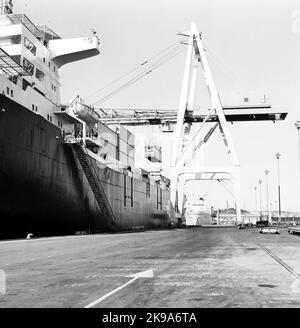Containerhantering, Skandiahamnen. M/S Atlantic Song Stock Photo - Alamy