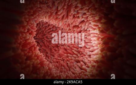 Microvilli on surface of digestive system or intestinal tract. 3D ...