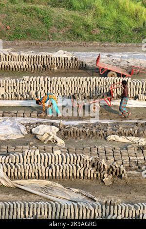 Munshigonj, Munshigonj, Bangladesh. 27th Oct, 2022. Bricks of a ...