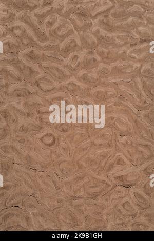 Radica Exotic wood panel texture pattern Stock Photo - Alamy