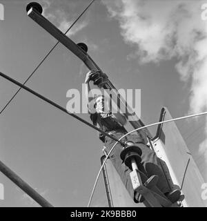 Electrification and line work Stock Photo - Alamy