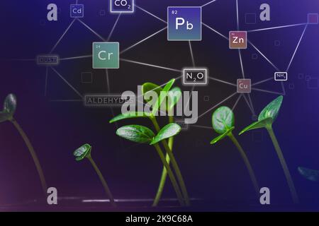 Soil contamination by chemical emissions. Harmful substances in soil ...