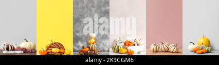 Collage with many pumpkins, leaves and flowers on color background ...